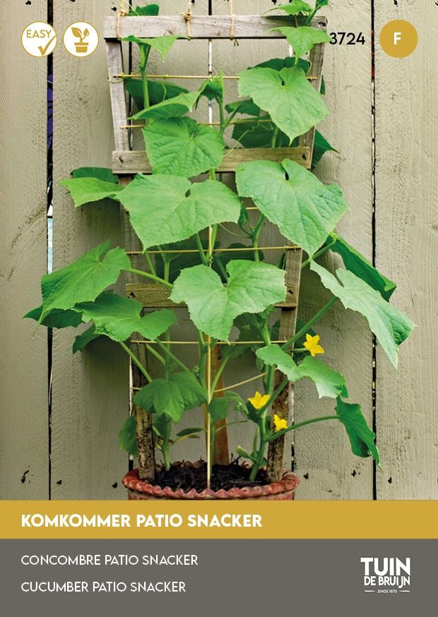 Komkommer Patio Snacker zaden kopen | Compacte pot-komkommer ...