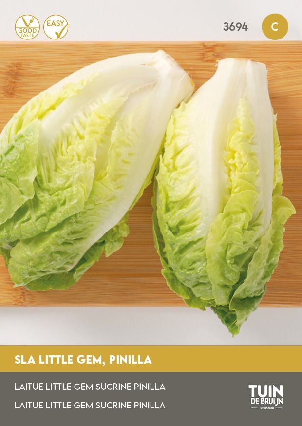 Sla Little Gem - kleine romeinse sla - lang houdbaar - geen verzendkosten